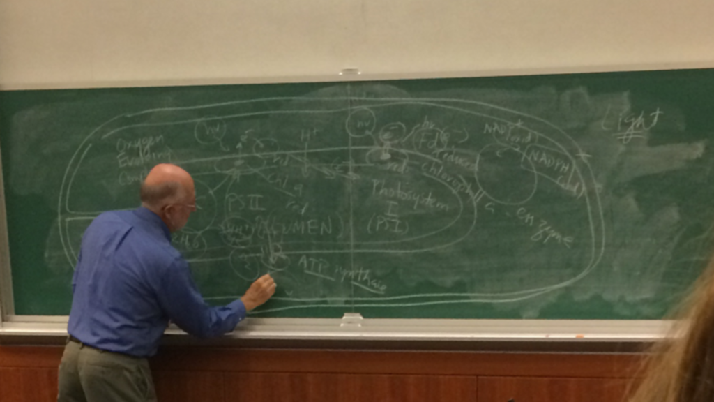Izzy Davis '16 Writes Home: The Master of Photosynthesis - Waynflete School